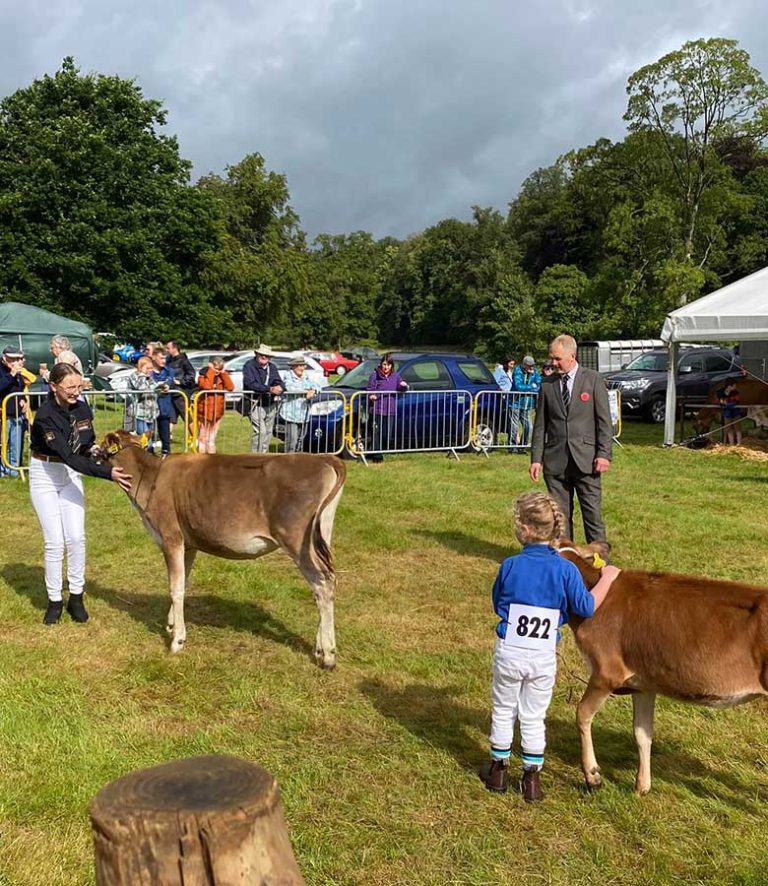 Gargrave Show | Competition Classes Overview